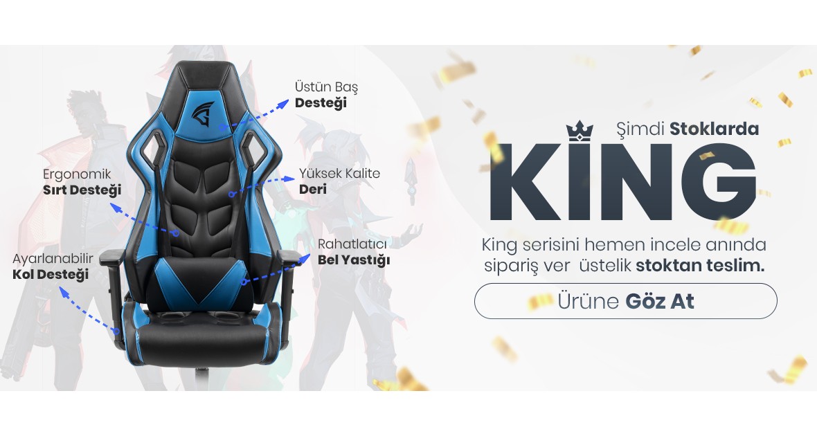 Gamesit Profesyonel Oyuncu Koltukları